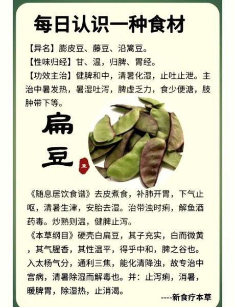 扁豆角的功效与作用_孕妇可以吃扁豆角吗-第1张图片-山城妙识 扁豆角的功效与作用_孕妇可以吃扁豆角吗-第1张图片-山城妙识