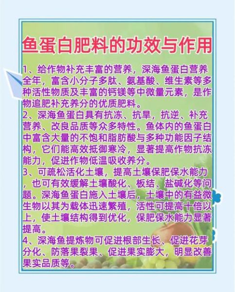 鱼蛋白水溶肥怎么用_鱼蛋白水溶肥效果好吗-第1张图片-山城妙识 鱼蛋白水溶肥怎么用_鱼蛋白水溶肥效果好吗-第1张图片-山城妙识