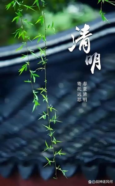 清明节好看的图片去哪找_如何挑选高清壁纸-第1张图片-山城妙识 清明节好看的图片去哪找_如何挑选高清壁纸-第1张图片-山城妙识