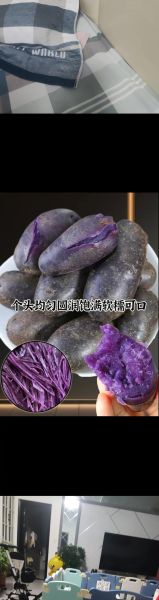 黑土豆怎么做才好吃_黑土豆的家常做法大全-第3张图片-山城妙识 黑土豆怎么做才好吃_黑土豆的家常做法大全-第3张图片-山城妙识