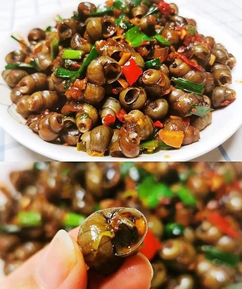 螺丝怎么炒好吃_螺丝的做法大全家常-第1张图片-山城妙识
