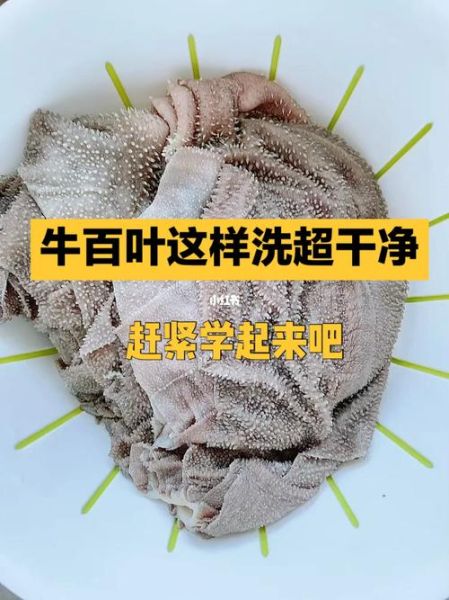 牛百叶怎么清洗_牛百叶清洗最快的方法-第1张图片-山城妙识 牛百叶怎么清洗_牛百叶清洗最快的方法-第1张图片-山城妙识