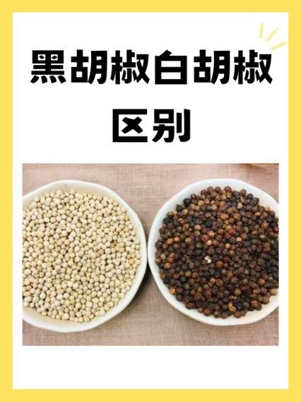 黑胡椒和白胡椒哪个好_功效区别全解析-第1张图片-山城妙识 黑胡椒和白胡椒哪个好_功效区别全解析-第1张图片-山城妙识