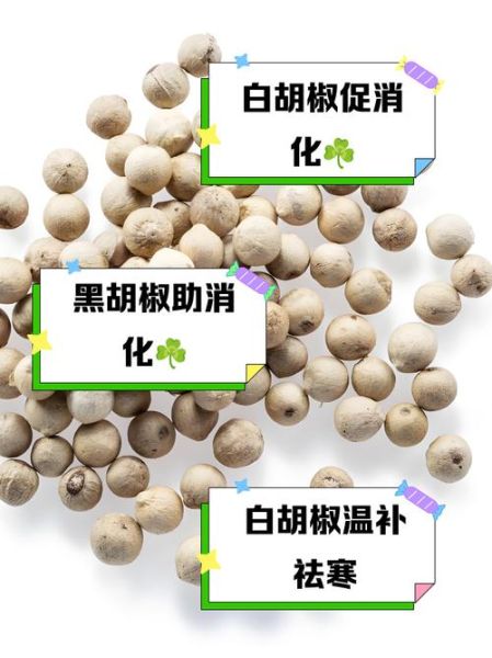 黑胡椒和白胡椒哪个好_功效区别全解析-第3张图片-山城妙识 黑胡椒和白胡椒哪个好_功效区别全解析-第3张图片-山城妙识