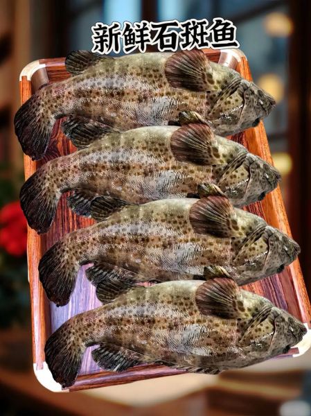 清蒸石斑鱼怎么蒸才不腥_石斑鱼蒸几分钟最佳-第3张图片-山城妙识 清蒸石斑鱼怎么蒸才不腥_石斑鱼蒸几分钟最佳-第3张图片-山城妙识