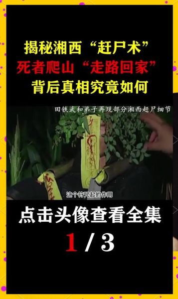 湘西赶尸鬼事之造畜是真的吗_造畜术真相揭秘-第1张图片-山城妙识 湘西赶尸鬼事之造畜是真的吗_造畜术真相揭秘-第1张图片-山城妙识