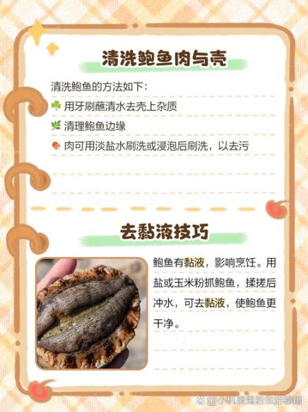 鲍鱼怎么清洗_鲍鱼内脏怎么处理-第2张图片-山城妙识
