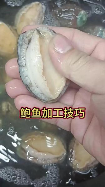 鲍鱼怎么清洗_鲍鱼内脏怎么处理-第3张图片-山城妙识