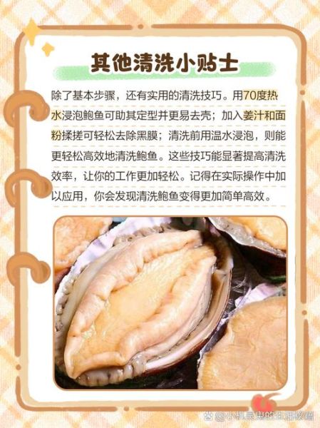 鲍鱼怎么清洗_鲍鱼内脏怎么处理-第1张图片-山城妙识