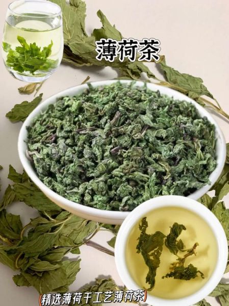 薄荷叶茶的功效与作用_薄荷叶茶可以天天喝吗-第1张图片-山城妙识