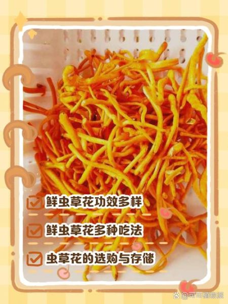 虫草花的功效与作用_孕妇可以吃吗-第2张图片-山城妙识 虫草花的功效与作用_孕妇可以吃吗-第2张图片-山城妙识