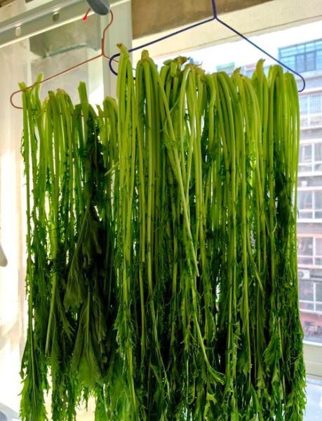 雪里红怎么腌制最好吃_雪里红腌制方法-第2张图片-山城妙识 雪里红怎么腌制最好吃_雪里红腌制方法-第2张图片-山城妙识