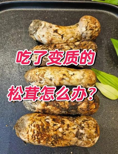松茸变质什么样子_如何辨别还能不能吃-第2张图片-山城妙识