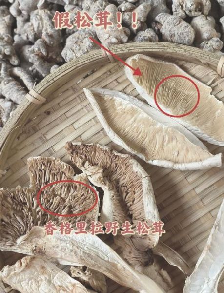 松茸变质什么样子_如何辨别还能不能吃-第1张图片-山城妙识