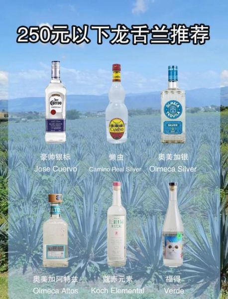 龙舌兰酒怎么喝_龙舌兰酒度数是多少-第1张图片-山城妙识 龙舌兰酒怎么喝_龙舌兰酒度数是多少-第1张图片-山城妙识