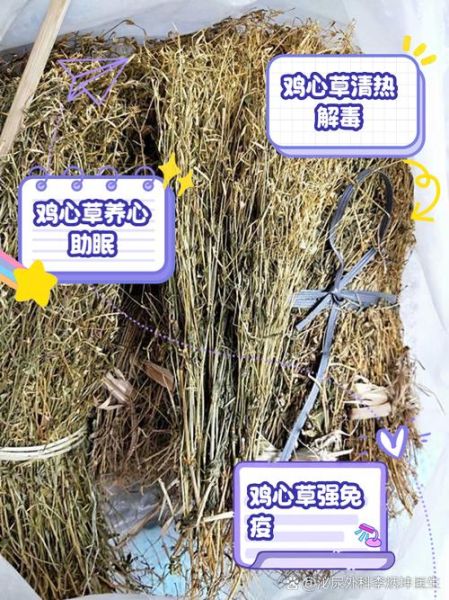 鸡心的功效与作用禁忌_什么人不能吃-第3张图片-山城妙识 鸡心的功效与作用禁忌_什么人不能吃-第3张图片-山城妙识