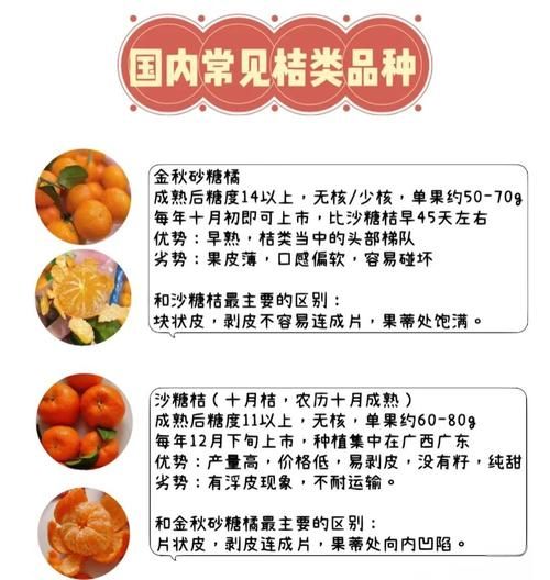 橘子怎么挑选_橘子保存多久-第1张图片-山城妙识 橘子怎么挑选_橘子保存多久-第1张图片-山城妙识