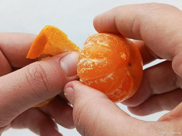 橘子怎么挑选_橘子保存多久-第3张图片-山城妙识 橘子怎么挑选_橘子保存多久-第3张图片-山城妙识