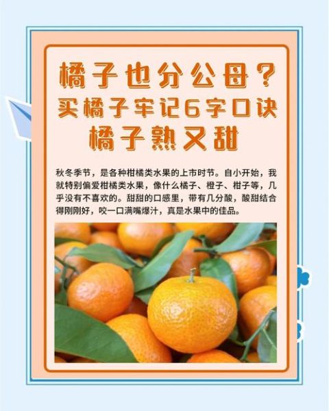 橘子怎么挑选_橘子保存多久-第2张图片-山城妙识 橘子怎么挑选_橘子保存多久-第2张图片-山城妙识