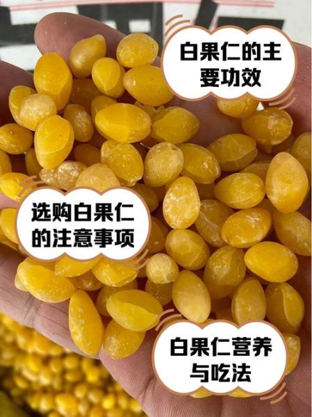 白果仁的功效与作用及禁忌_白果仁怎么吃才安全-第1张图片-山城妙识 白果仁的功效与作用及禁忌_白果仁怎么吃才安全-第1张图片-山城妙识