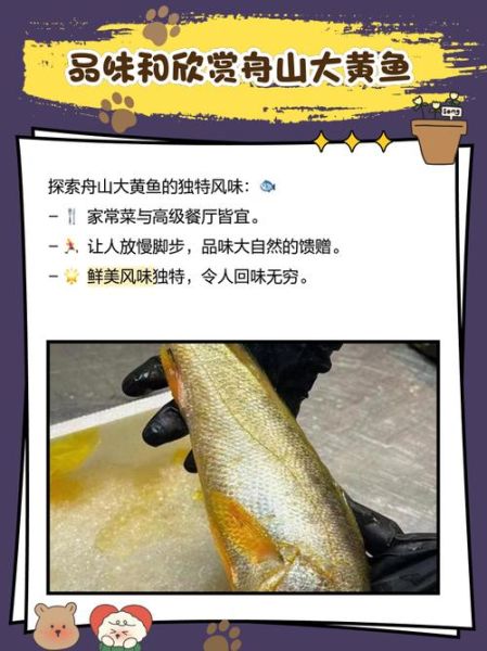 舟山野生大黄鱼多少钱一斤_如何辨别真假-第2张图片-山城妙识 舟山野生大黄鱼多少钱一斤_如何辨别真假-第2张图片-山城妙识