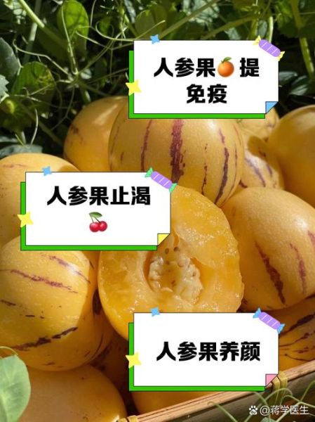 人参果可以天天吃吗_人参果每天吃多少合适-第1张图片-山城妙识