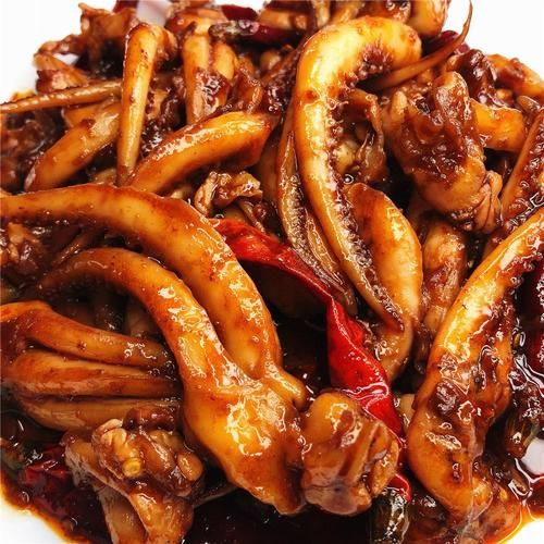 鱿鱼须图片大全大图_高清实拍怎么拍-第1张图片-山城妙识 鱿鱼须图片大全大图_高清实拍怎么拍-第1张图片-山城妙识