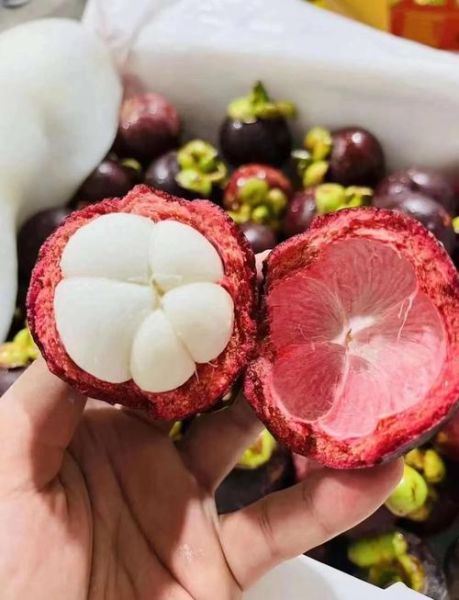 败火的水果有哪些_夏天吃什么水果降火快-第2张图片-山城妙识