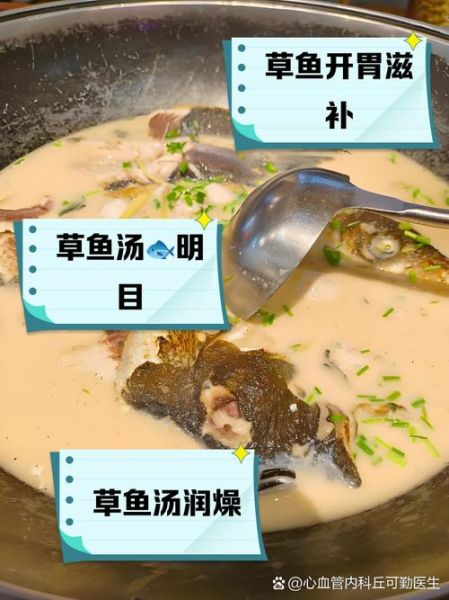 草鱼清炖怎么做好吃_草鱼清炖汤的家常做法-第1张图片-山城妙识