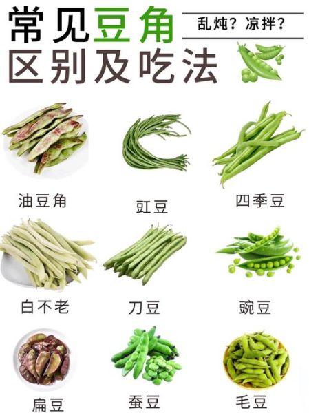 又扁又薄的豆角叫什么_扁豆角和四季豆区别-第1张图片-山城妙识