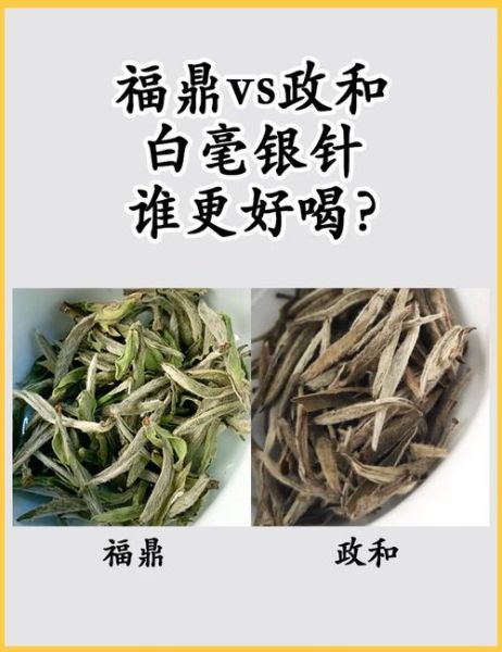 中国最好白茶排名_福鼎白茶与政和白茶谁更好-第3张图片-山城妙识
