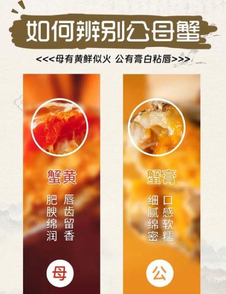 蟹膏蟹黄哪个好吃_蟹黄和蟹膏的区别-第1张图片-山城妙识