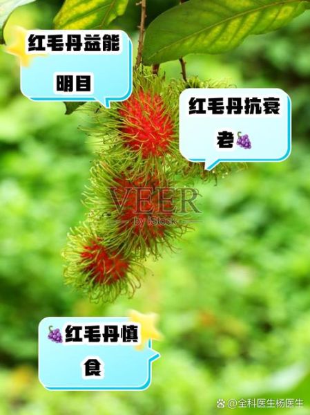 红毛丹的功效与作用_红毛丹的禁忌有哪些-第1张图片-山城妙识
