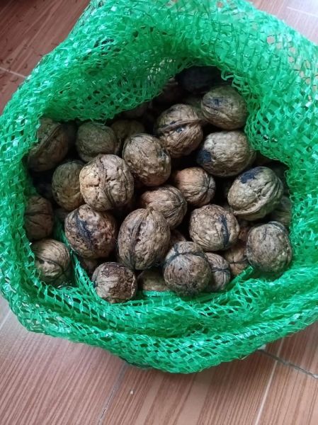 鲜核桃怎么保存_鲜核桃能放多久-第3张图片-山城妙识