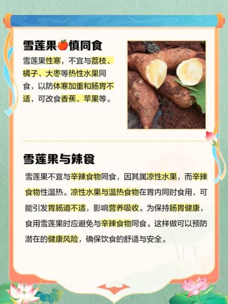 藏雪莲怎么吃_藏雪莲的正确食用方法-第1张图片-山城妙识