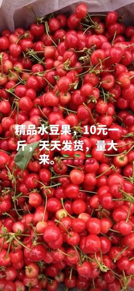 豆果果怎么加盟_豆果果加盟费多少钱-第1张图片-山城妙识 豆果果怎么加盟_豆果果加盟费多少钱-第1张图片-山城妙识