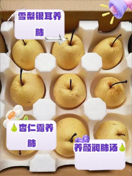 哪种梨止咳化痰润肺效果好_雪梨和鸭梨哪个更管用-第2张图片-山城妙识