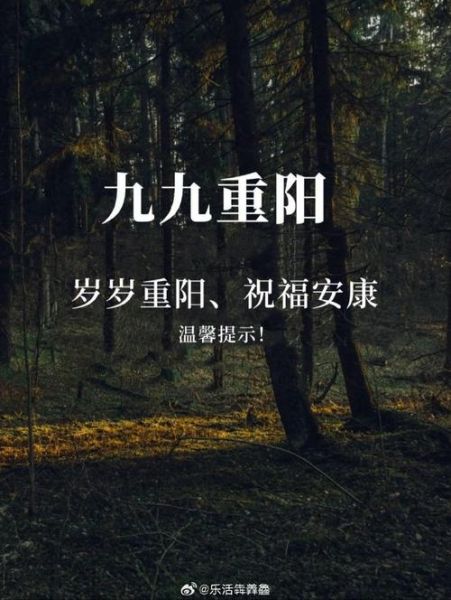 重阳节是农历几月几日_重阳节为什么定在九月初九-第3张图片-山城妙识