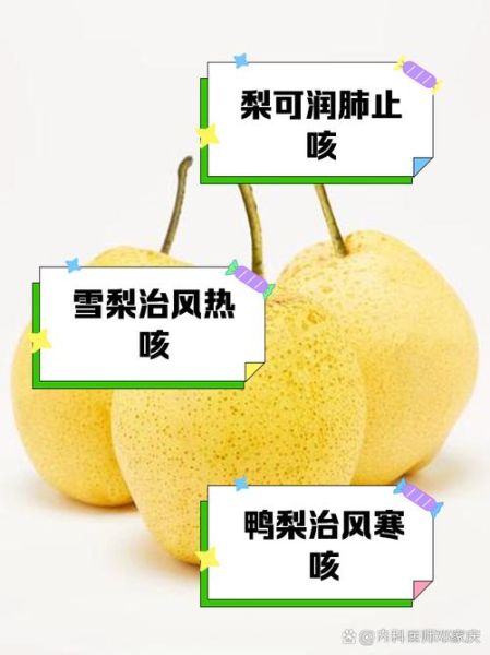 哪种梨止咳化痰润肺效果好_雪梨和鸭梨哪个更管用-第1张图片-山城妙识