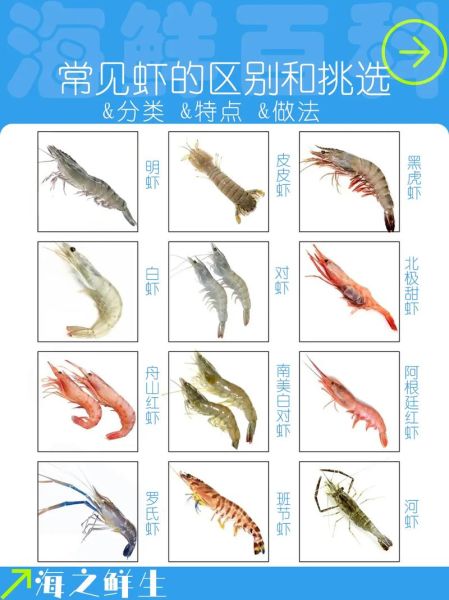虾种类图片大全和名字_如何区分常见食用虾-第2张图片-山城妙识 虾种类图片大全和名字_如何区分常见食用虾-第2张图片-山城妙识