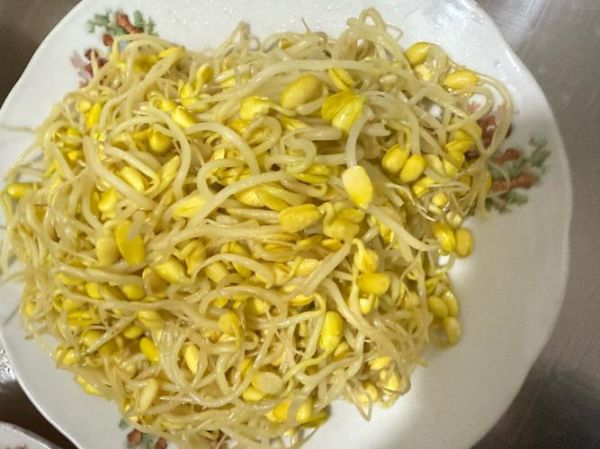 自发黄豆芽怎么做_黄豆芽失败原因-第1张图片-山城妙识 自发黄豆芽怎么做_黄豆芽失败原因-第1张图片-山城妙识