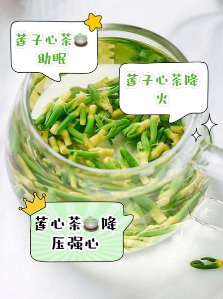 莲子心茶什么人不能喝_莲子心茶禁忌人群-第1张图片-山城妙识 莲子心茶什么人不能喝_莲子心茶禁忌人群-第1张图片-山城妙识