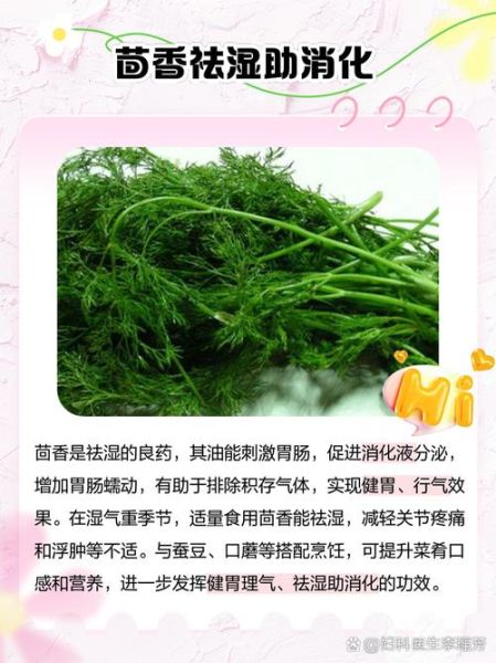 茴香籽的功效与作用禁忌_孕妇能吃吗-第3张图片-山城妙识 茴香籽的功效与作用禁忌_孕妇能吃吗-第3张图片-山城妙识