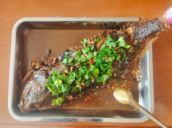 鸦片鱼身怎么做好吃_鸦片鱼身清蒸还是红烧-第1张图片-山城妙识 鸦片鱼身怎么做好吃_鸦片鱼身清蒸还是红烧-第1张图片-山城妙识