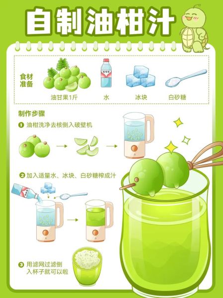 自制果汁饮料的做法大全_如何保存更久-第1张图片-山城妙识