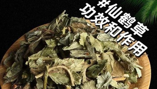 仙鹤草禁忌人群_仙鹤草不能与什么同服-第3张图片-山城妙识 仙鹤草禁忌人群_仙鹤草不能与什么同服-第3张图片-山城妙识