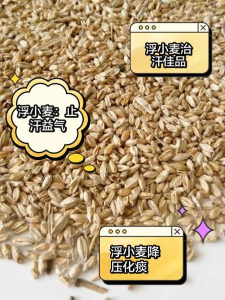 浮小麦的功效与作用及禁忌_浮小麦怎么吃才正确-第1张图片-山城妙识 浮小麦的功效与作用及禁忌_浮小麦怎么吃才正确-第1张图片-山城妙识
