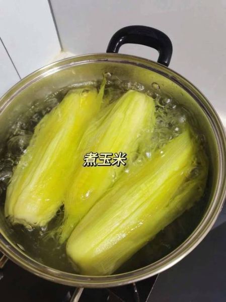 冷水下锅的玉米煮多久大火小火_冷水煮玉米要多久才熟-第1张图片-山城妙识