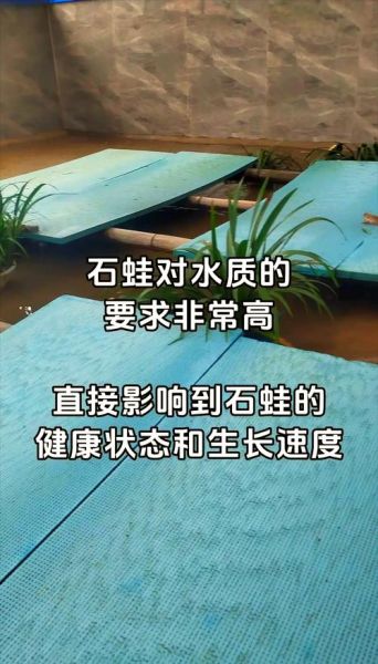 石蛙养殖技术_石蛙场地建造方法-第1张图片-山城妙识