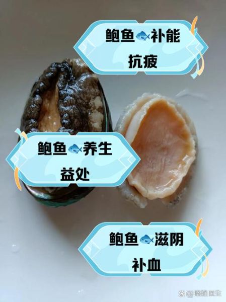 鲍鱼的营养价值_吃鲍鱼有哪些禁忌-第2张图片-山城妙识